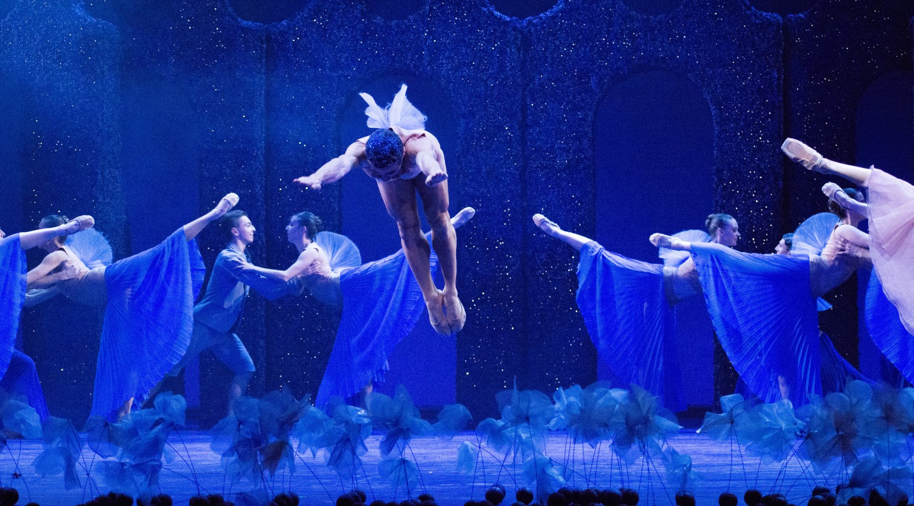 'The Krakow Opera' in Krakow